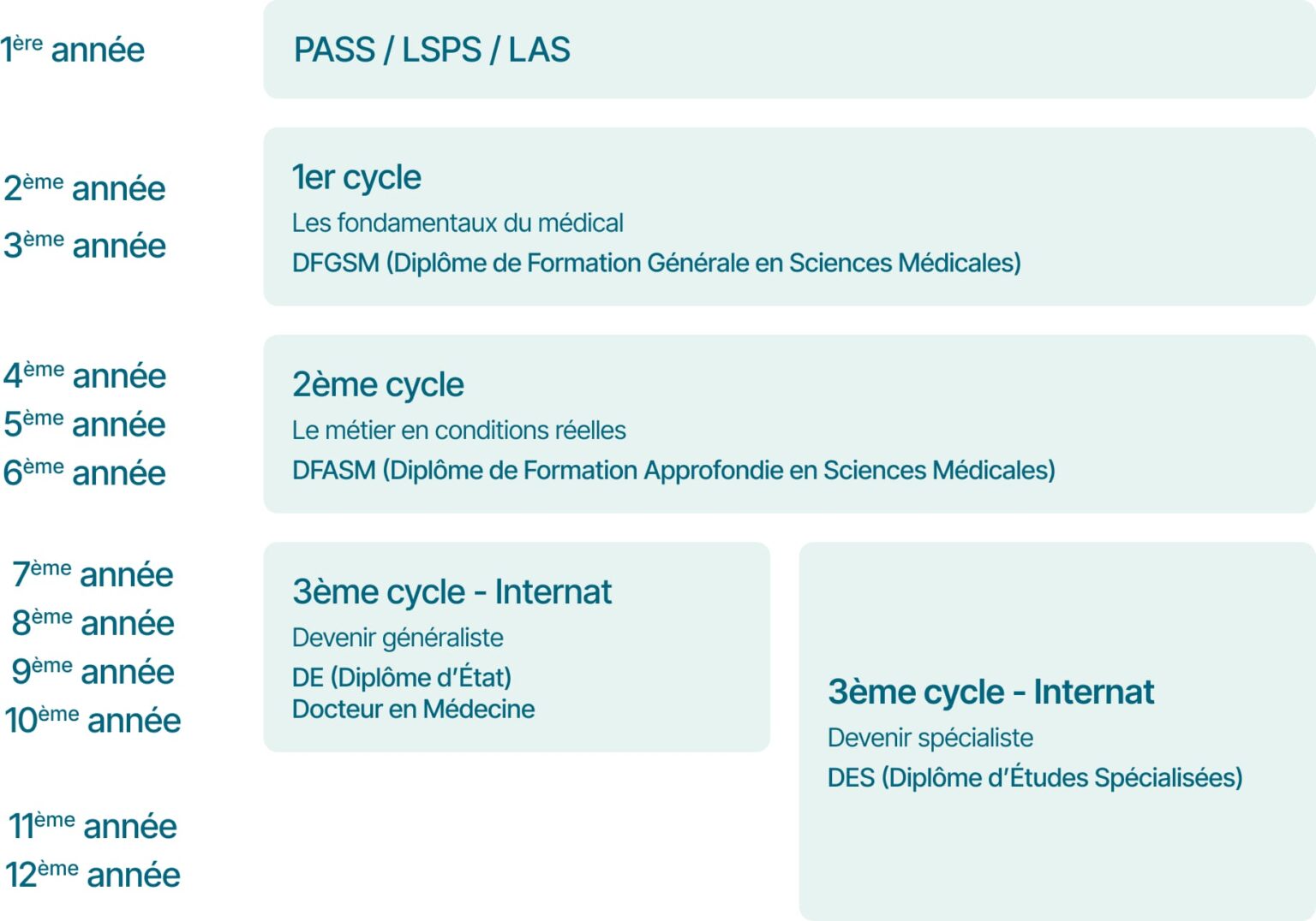 Les 3 cycles des études de médecine - Médisup Groupe